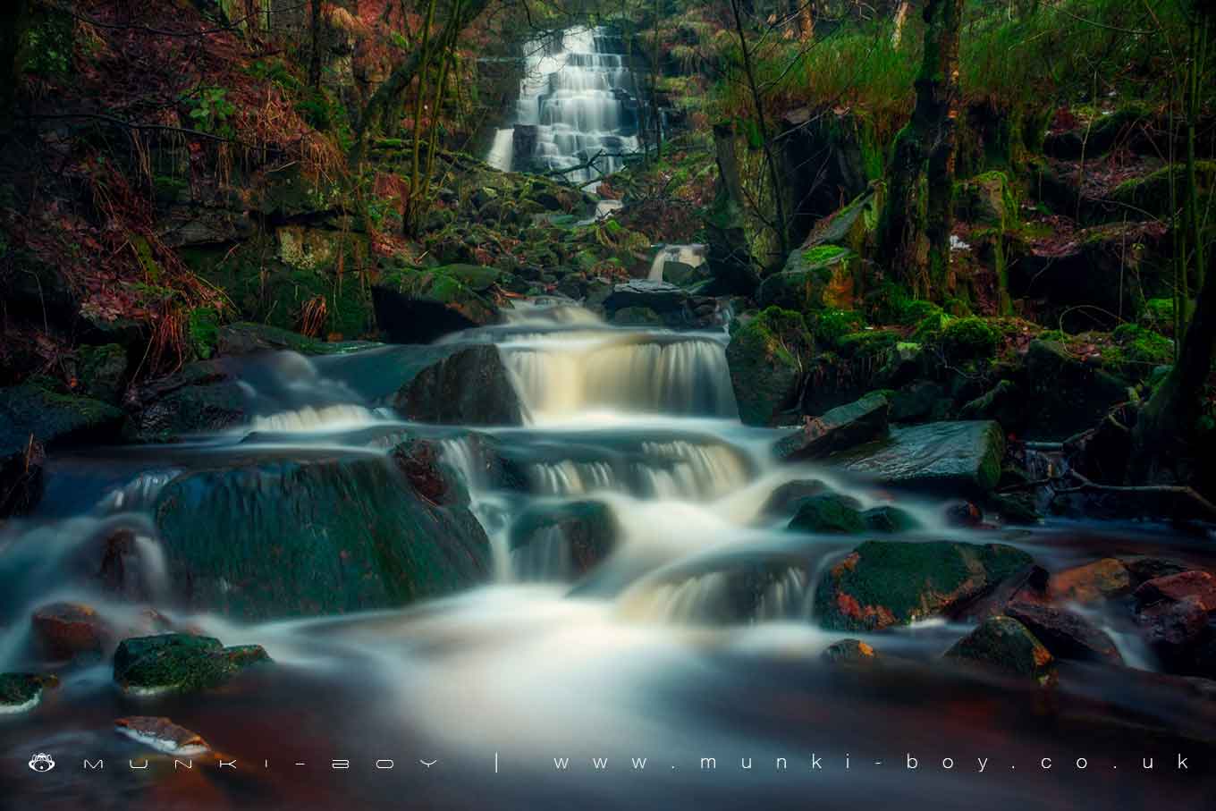 Brinscall Woods (Hatch Brook Waterfall Walk) | Andy Blundell